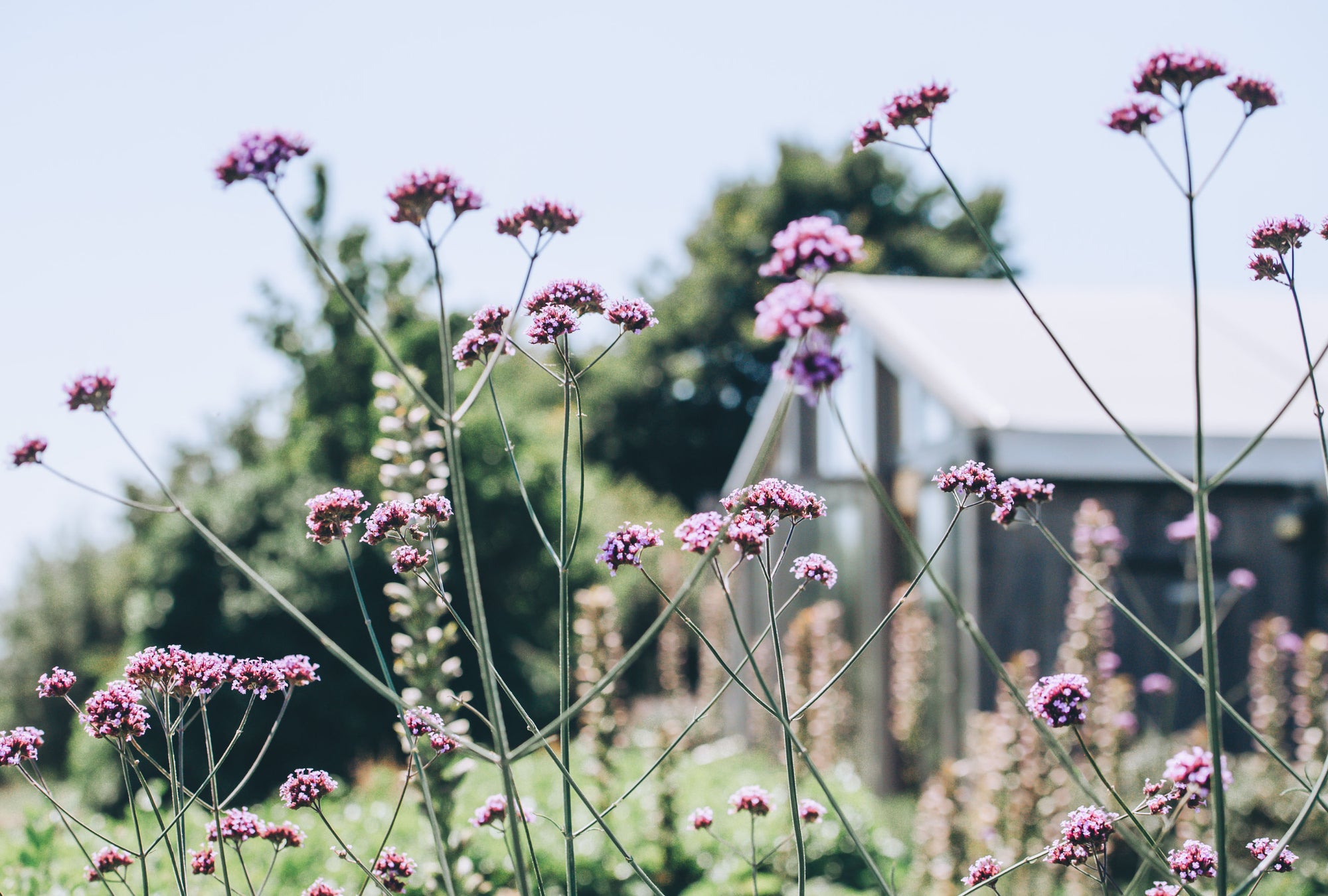 Trevenna: Your Beautiful Barn Wedding Venue in Cornwall